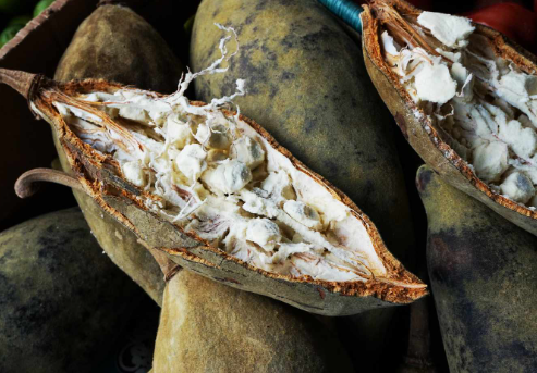 Home - ZimTrade - Zimbabwe Trade Information Portal