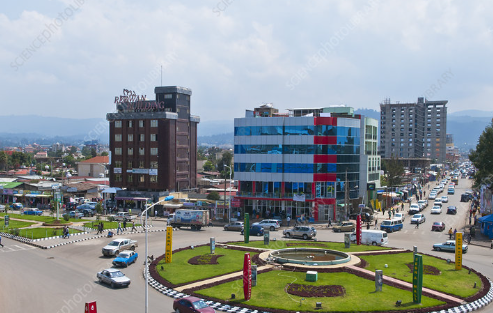 Home - ZimTrade - Zimbabwe Trade Information Portal